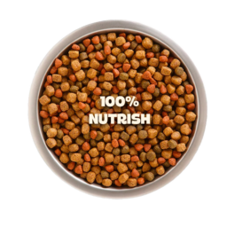 How to Switch Your Dog or Cat's Food to Nutrish