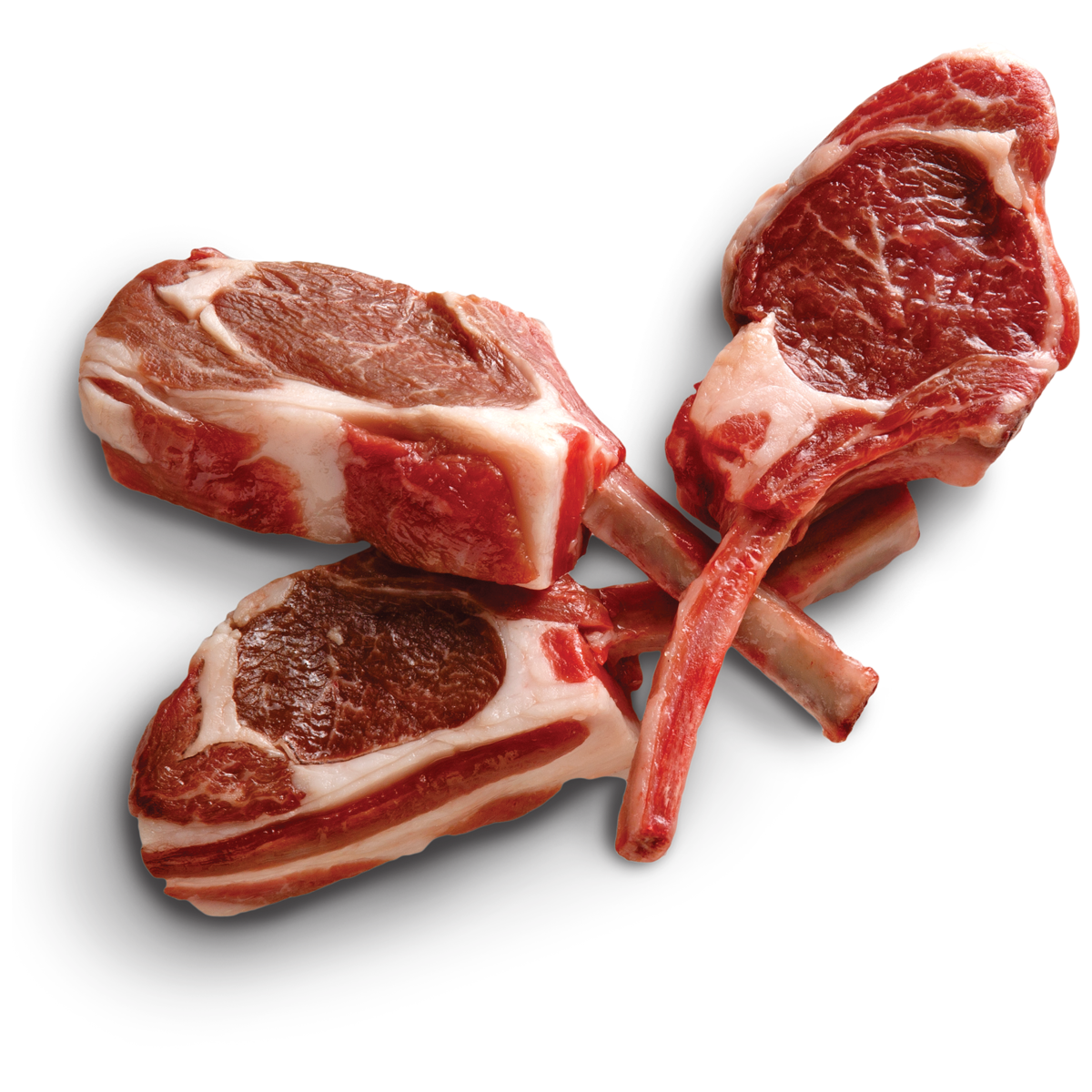 Nutrish® Chunks In Gravy Gentle Digestion Wet Dog Food